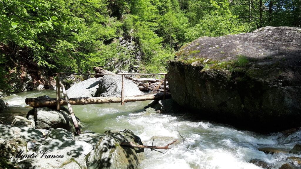 IDEI DE WEEKEND - Rezervația Naturală Cheile Tișiței